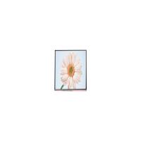 China new 720*1280 C050HWA5-1 5.0 inch LCD Screen Module for sale