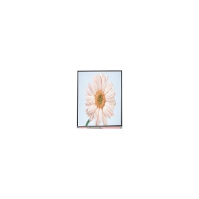 China new 720*1280 C050HWA5-1 5.0 inch LCD Screen Module for sale