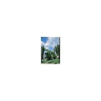 China LS050T1SC01S 5.0 inch 1080*1920 LCD Screen for Mobile Phone for sale