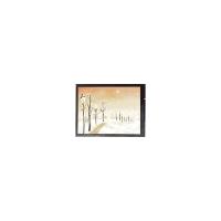 China 720*1280 F050A17-601 5.0 inch LCD Screen Module for sale