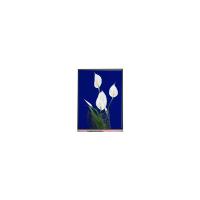 China Hot Sell 540*960 C054SWN4-0 5.4 inch  LCD Screen Display for sale