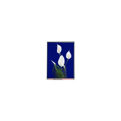 China Hot Sell 540*960 C054SWN4-0 5.4 inch  LCD Screen Display for sale