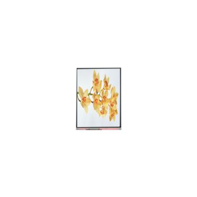 China C060SWY2-1 6.0 inch 480*854 TFT LCD Screen Display Panel for sale