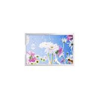 China TL055VDXC01 5.5 inch TFT LCD Screen 1080*1920 FHD LCD panel for sale