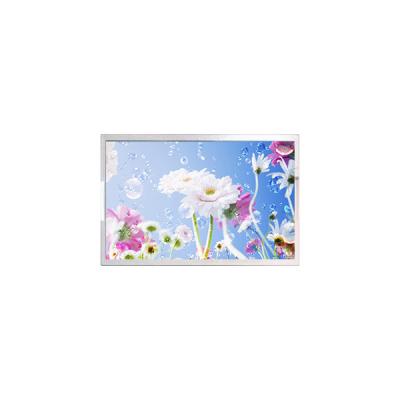 China TL055VDXC01 5.5 inch TFT LCD Screen 1080*1920 FHD LCD panel for sale