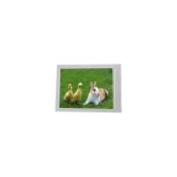 China F06008-02U 540*960 6.0 inch TFT LCD Screen Panel for sale