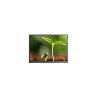 China N156BGE-P11 15.6 inch 1366*768 40 pins LCD Screen for Laptop for sale