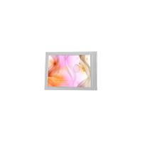 China Original 5.5 inch 1080*1920 PJ055IC-01A  LCD Screen Panel Module for sale