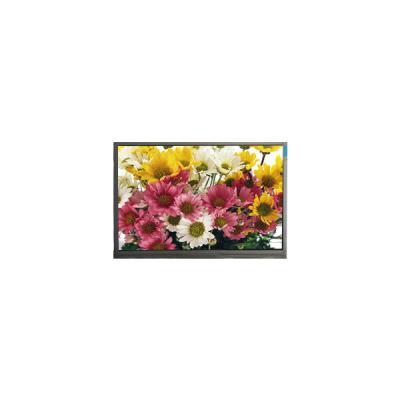 China F080AWN1-01 8.0 inch 800*480 a-Si TFT-LCD Screen Display for sale