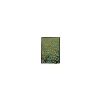 China 720*1280 LS053K3SX01 5.3 inch tft lcd display LCD Screen for Mobile Phone for sale