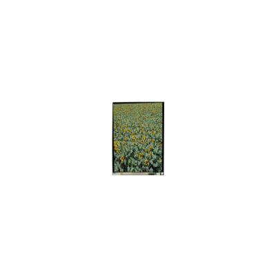 China 720*1280 LS053K3SX01 5.3 inch tft lcd display LCD Screen for Mobile Phone for sale