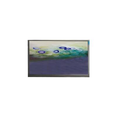 China M270MWN1 R0 27.0 inch 1080p LCD Screen Display for sale