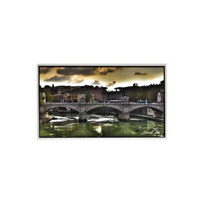 China Lcd Monitors 23.6  inch HM236WU3-110 1920*1080 TFT LCD Panel Screen Display for sale