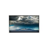 China Hot Sell 23.6 inch HM236WU1-400 1920*1080 LCD Panel display for sale