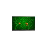 China M200FGE-L23 20.0 inch 1600*900 LCD Screen Display for sale