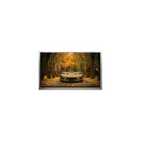 China HSD070PFW3-B01-0220 7.0 inch 1024*600 60Hz LCD display Panel for sale