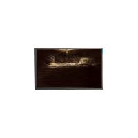 China P116NWR1 R6 11.6 inch TFT LCD Display Panel monitor for sale