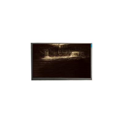China P116NWR1 R6 11.6 inch TFT LCD Display Panel monitor for sale