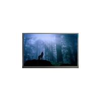 China M215HGE-P02 1920*1080 21.5 inch TFT LCD Screen Display for sale
