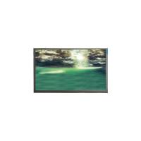 China 19.0 inch M190MWW4 R0 60Hz LCD Screen for Desktop Monitor for sale
