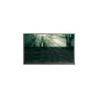 China Original 19.0 inch M190MWW4 R2 1440*900 60Hz LCD Screen Panel for sale