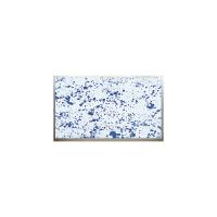 China New AT080TN52 V.5 8.0 inch 800*600 LCD Panel Screen For Digital Photo Frame for sale