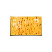 China 1920*1200 M260J5-L01 25.5 inch LVDS 30 pins LCD Screen Module for sale