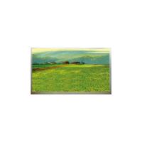 China N173H6-L04 1920*1080 17.3 inch LCD Screen panel for sale