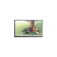 China M230WA01-ED 1920*1080 23.0 inch 30 pins LCD Screen for sale