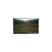 China P236MWF1 R0 23.6 inch 1920*1080 LCD Panel LVDS Module for sale