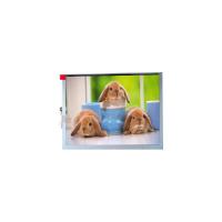 China New TM070SDH03 800*600 7.0 inch TFT-LCD Screen Panel for sale