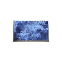 China LJ890AL9301 8.9 inch 1024*600 TFT LCD Screen LCD Display for sale