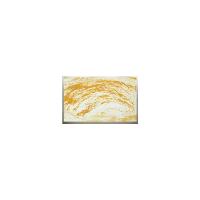 China 8.9 inch N089L6-L02 1024*600 Resolution LCD Screen Display for sale