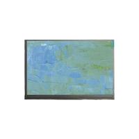 China High Quality 19.0 inch M190A1-PSA 1440*900 LCD Module for sale