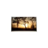 China Original 1600*900 N164O1-C01 16.4 inch LCD Monitor for sale