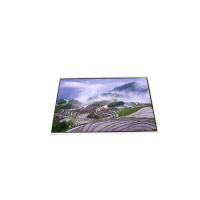 China LP156WH2-TLB1 15.6 inch 1366*768 220 cd/m LCD Module for sale