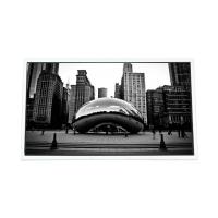 China C150DAA01.0 15.0 inch 1836*2372 lcd panel LCD Screen display for sale