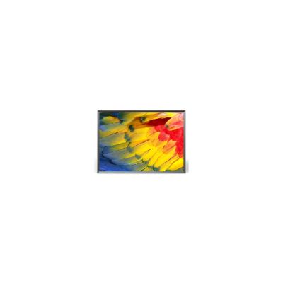 China 13.5 inch 32GB IPS Panel wireless intelligent cloud digital photo frame for sale