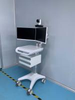 China Hospital Medical Mobile Workstation 22 Inch Electric for sale