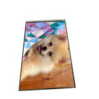 China AUO 8.0 inch LCD 800×1280 TFT LCD display B080EAK02.2 for sale