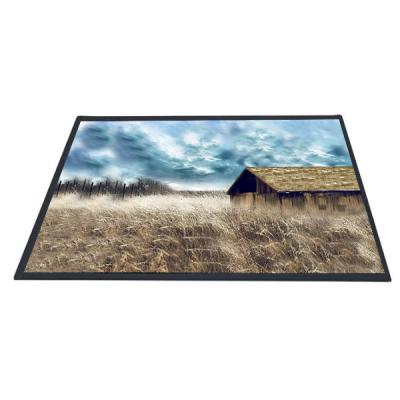 China AUO 10.1 inch B101XAN01.2 1366x768 TFT LCD Panel Screen for sale