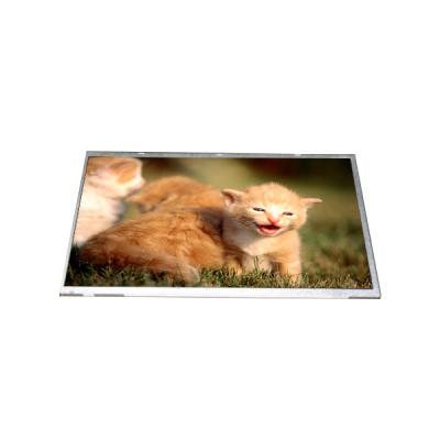 China B116AW02 V0 11.6 inch Laptop LCD Screen Display Panel for sale