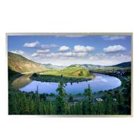 China AUO 13.0 inch B131EW01 V0 TFT LCD Panel Screen for sale