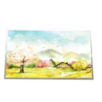China AUO B156HAN01.0 FHD 1920x1080 15.6 inch laptop lcd screen for sale