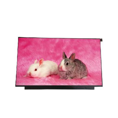 China 15.6 inch 1366x768 LED Notebook LCD Screen Display B156XTN01.0 for sale