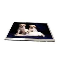 China C101EAN01.0 10.1 inch TFT LCD panels 1280*720 resolution for sale