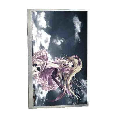 China Outdoor 10.1 Inch 1280*720 LCD Panel Screen Display C101EAN02.0 for sale