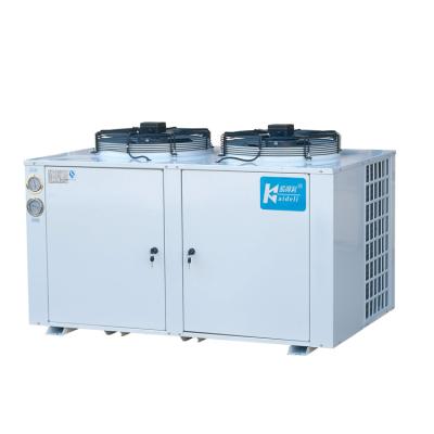 China Low Temperature Cold Storage Refrigeration Units 16.9-46.8 kW Capacity with R22 Refrigerant Compatibility for sale