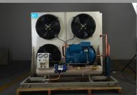 China Frost Temp Monoblock Cold Room Condensing Unit Cooling System For Cold Storage for sale