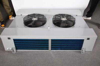 China ED Serious industrial double-side blow air cooler for sale
